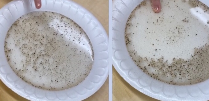 Projetos divertidos que ensinam sobre germes | Tistu Escola